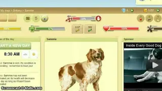 59 Dogzer Alternatives – Top Best Alternatives