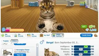 23 FooPets Alternatives – Top Best Alternatives